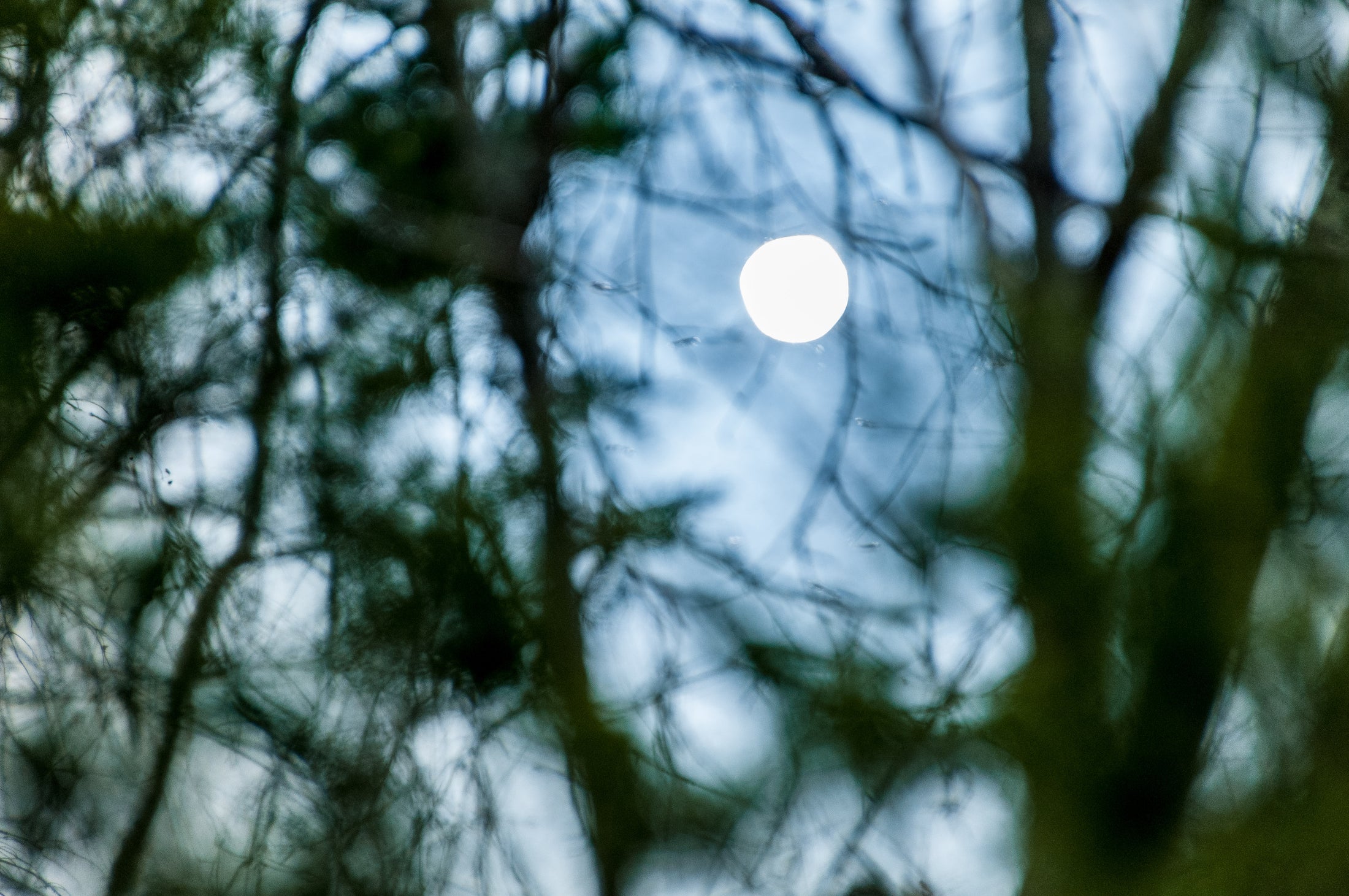 NAC clinical trials show promissing results to treat endometriosis hum ...